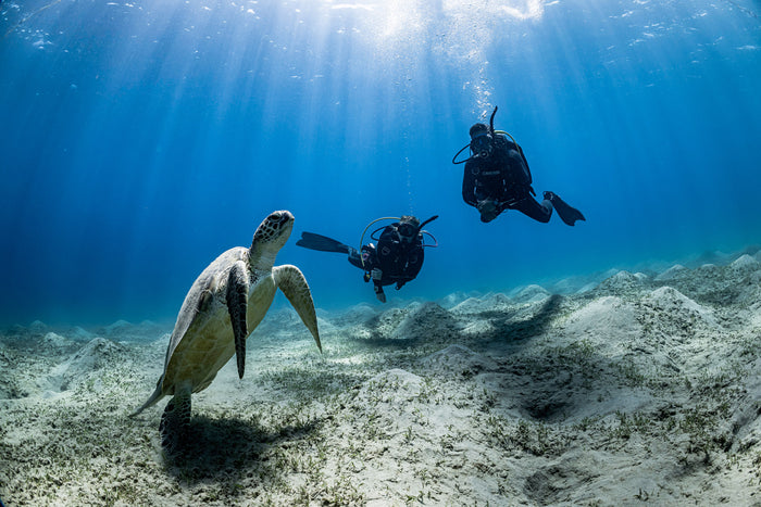 Diving Events – Khorfakkan Discovery